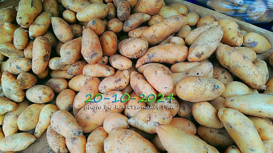 eKorinthos • Μεγάλο το ταξίδι της πατάτας, μεγάλη και η χάρη της που τρέφει τη φτωχολογιά!